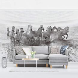 Bilderwelten Fototapete Strand Motiv Wandtapete schwarz weiss - Wei&szlig;e Pferde im Meer - Landschaft Wohnzimmer Schlafzimmer
