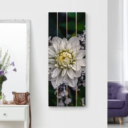 Bilderwelten Holzbild Blumen schwarz Motiv nat&uuml;rlicher Effekt - Wei&szlig;e Dahlie - Deko Wohnzimmer Schlafzimmer