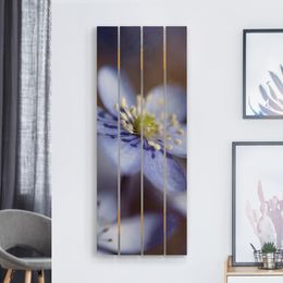 Bilderwelten Holzbild Blumen blau Motiv nat&uuml;rlicher Effekt - Anemonen in Blau - Deko Wohnzimmer Schlafzimmer