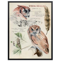 Bilderwelten Leinwandbild - Hochformat Wildnis Journal - Eule