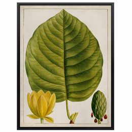 Bilderwelten Leinwandbild - Hochformat Tableau Blatt Bl&uuml;te Frucht I