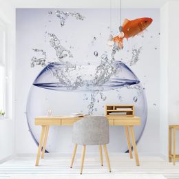 Bilderwelten Fototapete Tiere modern Wandtapete einzigartig - One Flying Goldfish - Fische Wohnzimmer Schlafzimmer