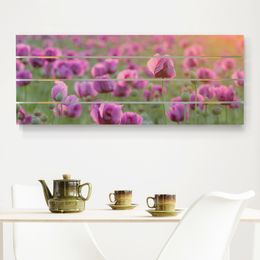 Bilderwelten Holzbild Blumen violett Motiv nat&uuml;rlicher Effekt - Violette Schlafmohn Blumenwiese im Fr&uuml;hling - Blumenwiese Wohnzimmer Schlafzimmer