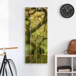 Bilderwelten Holzbild Wald gr&uuml;n Motiv nat&uuml;rlicher Effekt - Gr&uuml;ner Japanischer Garten - B&auml;ume Wohnzimmer Schlafzimmer