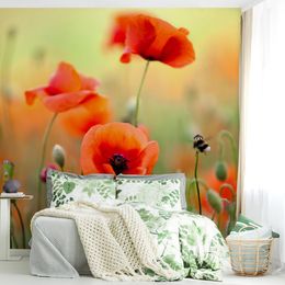 Bilderwelten Tapete Blumen - Fototapete Mohnblumen-Wiese - Roter Mohn - 3D - Wandtapete Blumentapete Schlafzimmer Wohnzimmer