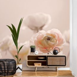 Bilderwelten Fototapete Zarter Strauch an Rosa Bl&uuml;ten Botanik Rose Wohnzimmer Vliestapete inkl. Kleister oder selbstklebend