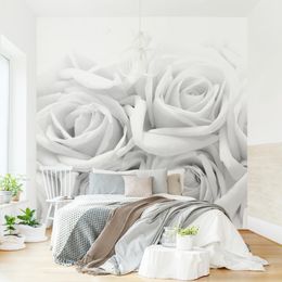Bilderwelten Fototapete Wei&szlig;e Rosen Schwarz-Wei&szlig; Landhaus,Botanik Rose Schlafzimmer Vliestapete inkl. Kleister oder selbstklebend