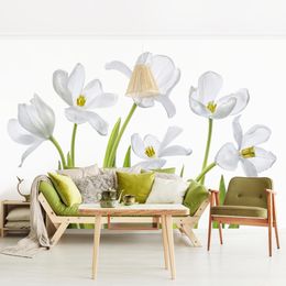 Bilderwelten Fototapete F&uuml;nf Wei&szlig;e Tulpen Landhaus,Botanik Blume Wohnzimmer,Schlafzimmer Vliestapete inkl. Kleister oder selbstklebend