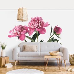 Bilderwelten Fototapete Bl&uuml;ten und Knospen Pink auf Wei&szlig; Botanik,Botanik Blume,Botanik Rose Schlafzimmer,Wohnzimmer Vliestapete inkl. Kleister oder selbstklebend