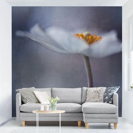 Bilderwelten Tapete - Fototapete Wei&szlig;e Anemonenbl&uuml;te - Wandtapete Schlafzimmer Wohnzimmer modern - auch kleisterfrei- VliesBlumentapete