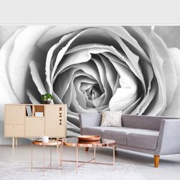 Bilderwelten Fototapete Rosa Rosenbl&uuml;te Schwarz-Wei&szlig; Landhaus,Botanik Rose Wohnzimmer,Schlafzimmer Vliestapete inkl. Kleister oder selbstklebend