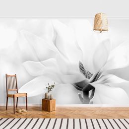 Bilderwelten Fototapete Zarte Magnolienbl&uuml;te Schwarz-Wei&szlig; Landhaus,Botanik Blume Wohnzimmer,Schlafzimmer Vliestapete inkl. Kleister oder selbstklebend