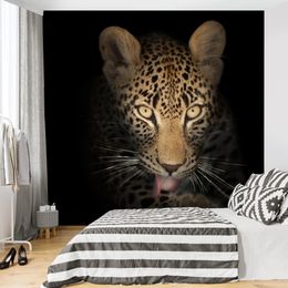 Bilderwelten Tapete - Fototapete Resting Leopard - Wandtapete Schlafzimmer Wohnzimmer modern - auch kleisterfrei