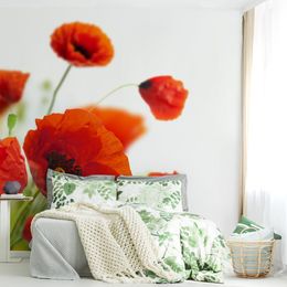 Bilderwelten Tapete - Fototapete Mohnblumen - Radiant Poppies - Blumentapete Wandtapete Schlafzimmer Wohnzimmer modern - auch selbstklebend
