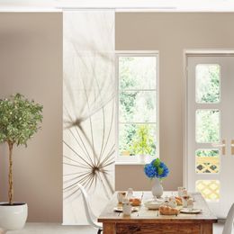 Bilderwelten Schiebegardine Sanfte Gr&auml;ser - Fl&auml;chenvorhang Botanik Tropical Vintage Landhausstil Wohnzimmer Schlafzimmer K&uuml;che lichtdurchl&auml;ssig halbtransparent