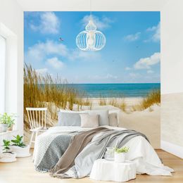 Bilderwelten Fototapete Ostsee - Tapete Strand an der Nordsee - D&uuml;nen Meer Strandtapete Nordseestrand Meerblick Natur Schlafzimmer Wohnzimmer modern