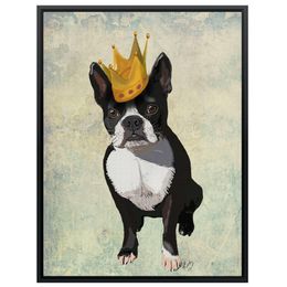 Bilderwelten Leinwandbild - Hochformat Tierportrait - Terrierk&ouml;nig