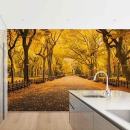 Bilderwelten Fototapete Herbst im Central Park