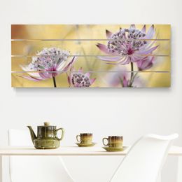 Bilderwelten Holzbild Blumen violett Landhaus nat&uuml;rlicher Effekt - Astrantia Major - Deko Wohnzimmer Schlafzimmer