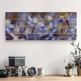 Bilderwelten Holzbild Blumen blau Motiv nat&uuml;rlicher Effekt - Anemonen in Blau - Deko Wohnzimmer Schlafzimmer