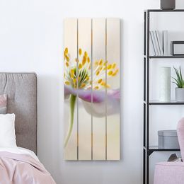 Bilderwelten Holzbild Blumen einzigartig Motiv nat&uuml;rlicher Effekt - Buschwindr&ouml;schen in Wei&szlig; - Deko Wohnzimmer Schlafzimmer