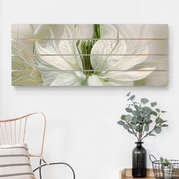 Bilderwelten Holzbild Blumen weiss Landhaus nat&uuml;rlicher Effekt - Wei&szlig;e Nigella - Deko Wohnzimmer Schlafzimmer
