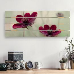 Bilderwelten Holzbild Blumen violett Motiv nat&uuml;rlicher Effekt - Pinke Kosmeen - Deko Wohnzimmer Schlafzimmer