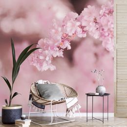 Bilderwelten Fototapete Kirschbl&uuml;te im Violetten Licht Botanik Kirschbl&uuml;te Wohnzimmer Vliestapete inkl. Kleister oder selbstklebend