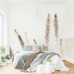 Bilderwelten Fototapete Getrocknetes Kammgras Botanik Gr&auml;ser Wohnzimmer,Schlafzimmer Vliestapete inkl. Kleister oder selbstklebend