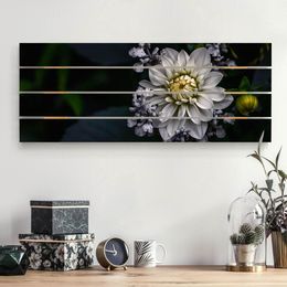 Bilderwelten Holzbild Blumen schwarz Motiv nat&uuml;rlicher Effekt - Wei&szlig;e Dahlie - Deko Wohnzimmer Schlafzimmer
