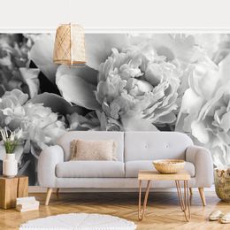 Bilderwelten Fototapete Bl&uuml;hende Pfingstrosen Schwarz-Wei&szlig; Landhaus,Botanik Blume Wohnzimmer,Schlafzimmer Vliestapete inkl. Kleister oder selbstklebend