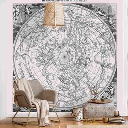 Bilderwelten Fototapete Die s&uuml;dliche Hemisph&auml;re Vintage,Himmel Sternbilder,Sterne Wohnzimmer,Schlafzimmer,Esszimmer,Vliestapete inkl. Kleister oder selbstklebend