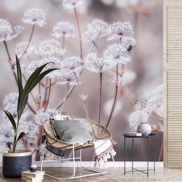 Bilderwelten Fototapete Federleichte Wildblumen Botanik Gr&auml;ser Blumenwiese Tapete nach Ma&szlig; Vliestapete inkl. Kleister oder selbstklebend Schlafzimmer, Wohnzimmer