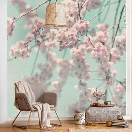 Bilderwelten Fototapete Kirschbl&uuml;tentanz auf Leinenstruktur Botanik Kirschbl&uuml;te Schlafzimmer,Wohnzimmer Vliestapete inkl. Kleister oder selbstklebend