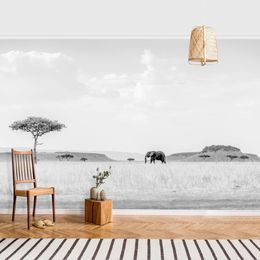 Bilderwelten Fototapete Elefant in weiter Savanne Schwarz-Wei&szlig; Landschaft Afrika,Tiere Elefant Wohnzimmer Vliestapete inkl. Kleister oder selbstklebend