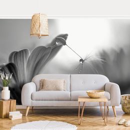Bilderwelten Fototapete Purple Rain Schwarz-Wei&szlig; Botanik Blume Wohnzimmer,Schlafzimmer Vliestapete inkl. Kleister oder selbstklebend