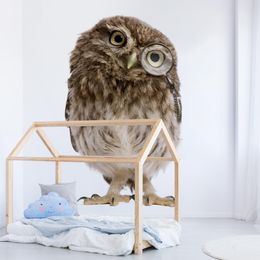 Bilderwelten Fototapete Tiere Motiv Wandtapete einzigartig - Neugierige Eule - V&ouml;gel Kinderzimmer Baby M&auml;dchen Jungen