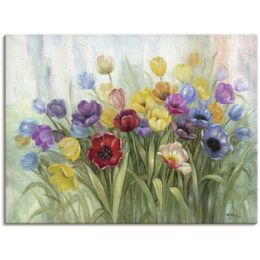 Wandbild Artland, B:80cm H:60cm, bunt, Leinwand, Wohnzimmer, Bilder, "Tulpenwiese I", als Leinwandbild, Poster in verschied. Gr&ouml;&szlig;en