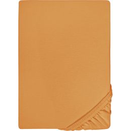 Spannbettlaken Biberna, L:200cm, orange, Jersey, Obermaterial: 100% Baumwolle, Bettlaken, "Marc", aus Baumwolle, f&uuml;r Matratzen bis 22 cm H&ouml;he,