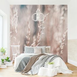 Bilderwelten Fototapete Wilde Wiese Landhaus,Botanik Gr&auml;ser Wohnzimmer,Schlafzimmer Blumentapete inkl. Kleister oder selbstklebend - wei&szlig; beige - Blume Vliestapete