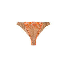 next String Damen Gr&ouml;&szlig;e XXL camel / orange
