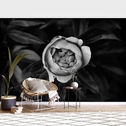 Bilderwelten Fototapete Pfingstrosenbl&uuml;te vor Bl&auml;ttern Schwarz Wei&szlig; Botanik,Botanik Blume,Botanik Rose Wohnzimmer,Schlafzimmer Vliestapete