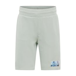 Fila Sportshorts 'Clemson' Herren Gr&ouml;&szlig;e S blau / pastellgr&uuml;n