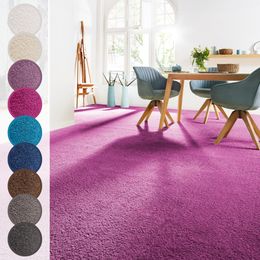ANDIAMO Teppichboden "Sophie, Frisee-Velours, Gesamth&ouml;he 12 mm, Luxusklasse LC3", B : 500cm 1 Stk., L: 450cm, lila, Schlafzimmer, Teppiche, Uni