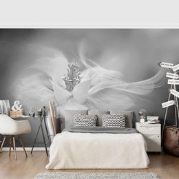 Bilderwelten Fototapete Wei&szlig;e Akelei Schwarz-Wei&szlig; Landhaus,Botanik Blume Wohnzimmer,Schlafzimmer Vliestapete inkl. Kleister oder selbstklebend