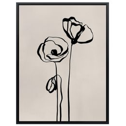 Bilderwelten Leinwandbild Mohn Illustration I