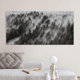 Bilderwelten Akustikbild Lichtstrahlen im Nadelwald
