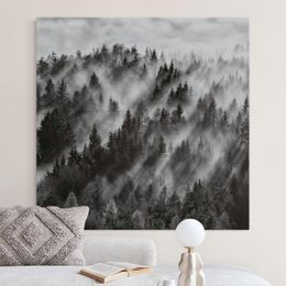 Bilderwelten Akustikbild Lichtstrahlen im Nadelwald