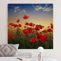 Bilderwelten Akustikbild Mohnblumenfeld im Sonnenuntergang