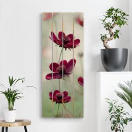 Bilderwelten Holzbild Blumen violett Motiv nat&uuml;rlicher Effekt - Pinke Kosmeen - Deko Wohnzimmer Schlafzimmer